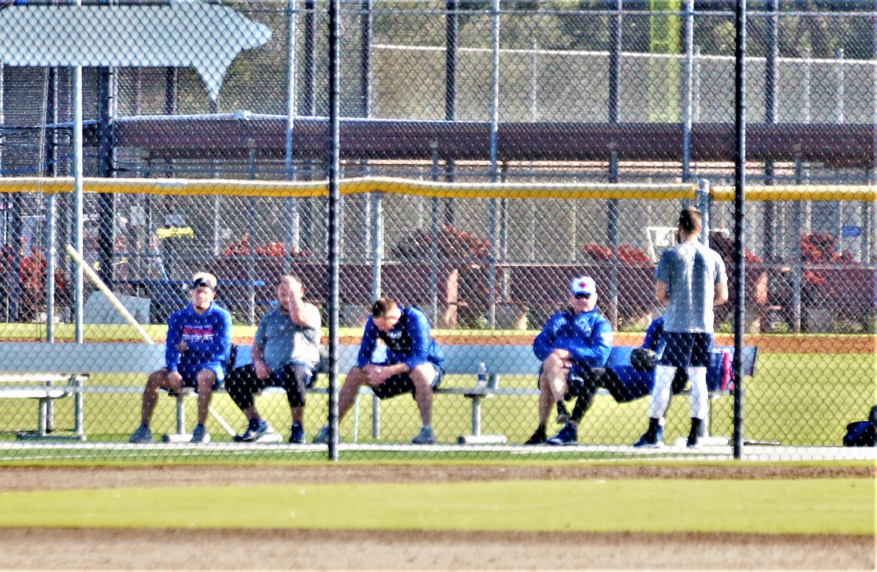 Early arrivals at Dunedin – The view from left field